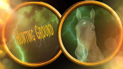 Noticeboard for Fantasy Racing